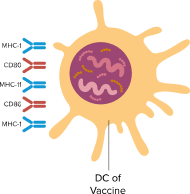 Introduction on DC-CIK - Auxi