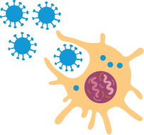 Introduction on DC-CIK - Auxi