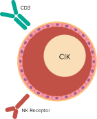 Introduction on DC-CIK - Healthcare Provider - Auxi